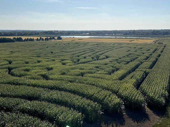 Fall's golden hour transforms the farm into a photographer's paradise &ndash; no filter required, just pure Midwestern magic.
