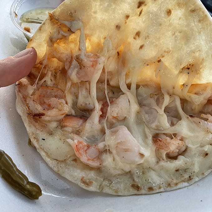 Seafood sensation: Plump shrimp nestled in melted cheese creates a quesadilla worth crossing town for – ocean meets comfort food.