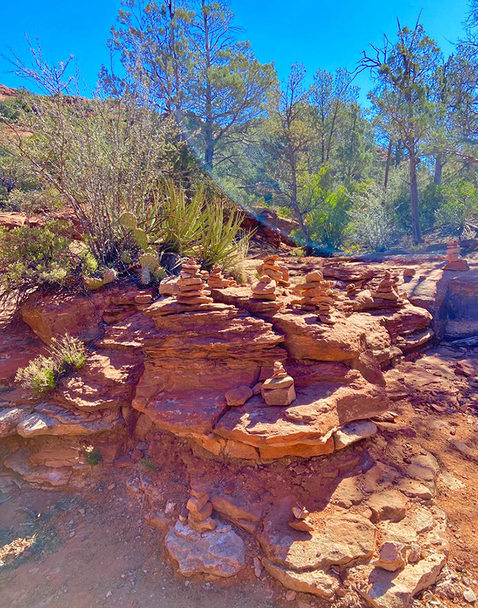Desert sunshine bathes the landscape in golden light, turning ordinary rocks into glowing sculptures worthy of an outdoor art gallery.