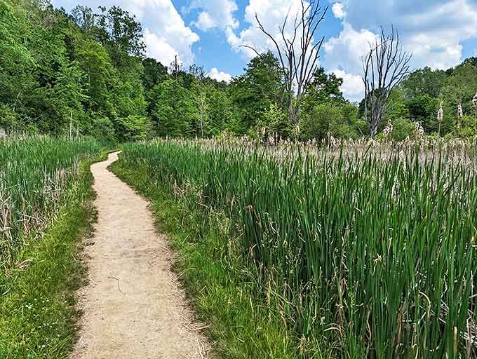 A trail that promises adventure without the threat of requiring mountain rescue, perfect for explorers of all fitness levels.