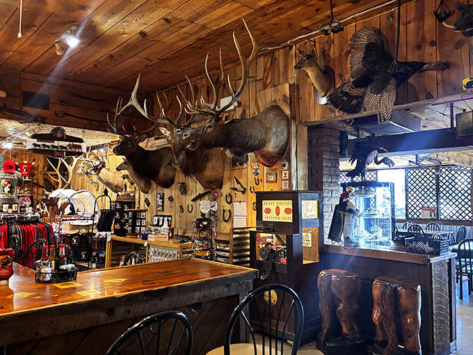 The impressive taxidermy collection transforms ordinary dining into an extraordinary experience &ndash; where else can you enjoy a burger while a leopard watches?