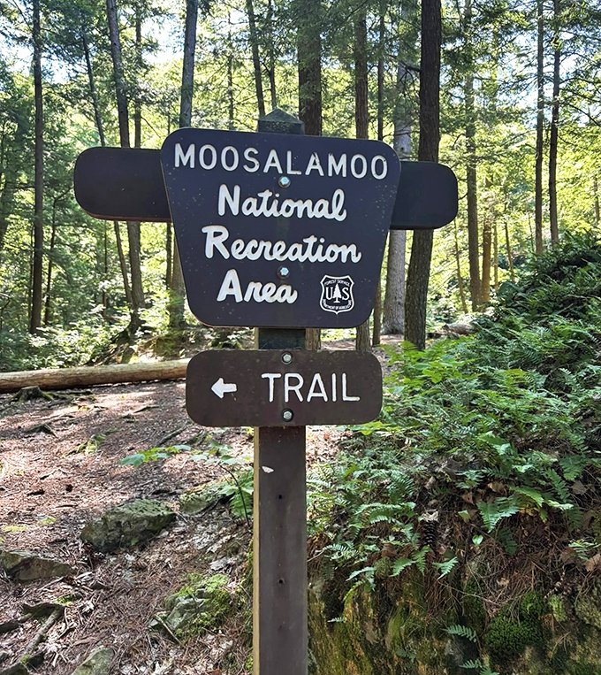 The sign that promises wilderness magic ahead &ndash; just follow the arrow and prepare for Moosalamoo's natural wonders.
