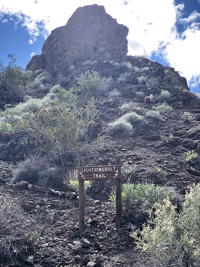 Lightning Bolt Trail beckons adventurous hikers with the promise of spectacular views and desert wildlife encounters.