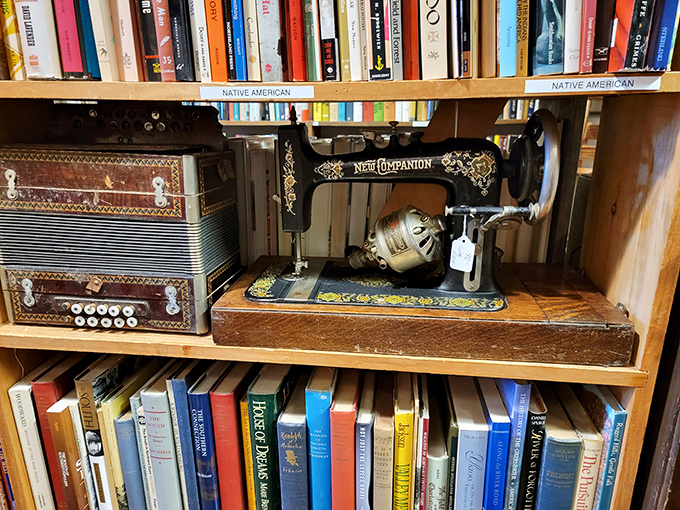 Vintage sewing machines and accordions share shelf space with rare books, each item telling stories of craftsmanship from bygone eras.