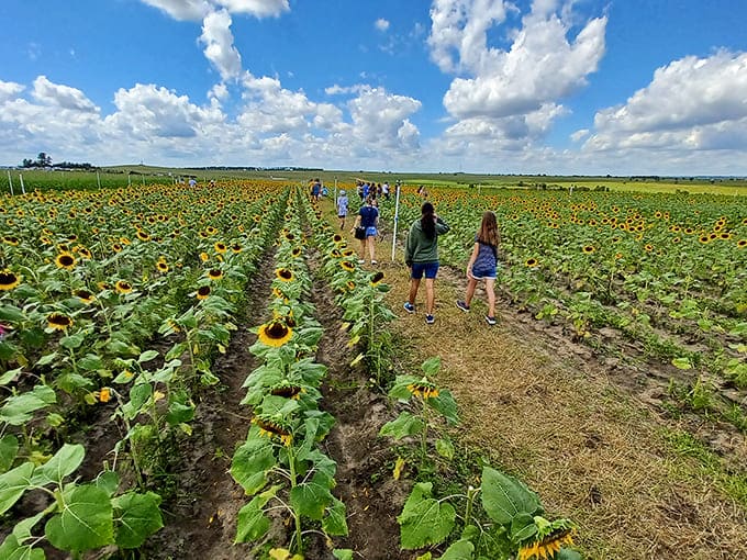 Families discover the simple joy of wandering through nature's gold mine, creating memories more valuable than any souvenir.