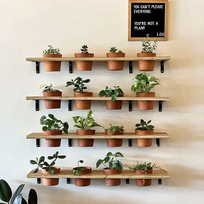 "You can't please everyone. You're not a plant." Wise words and greenery adorn the walls with equal charm.