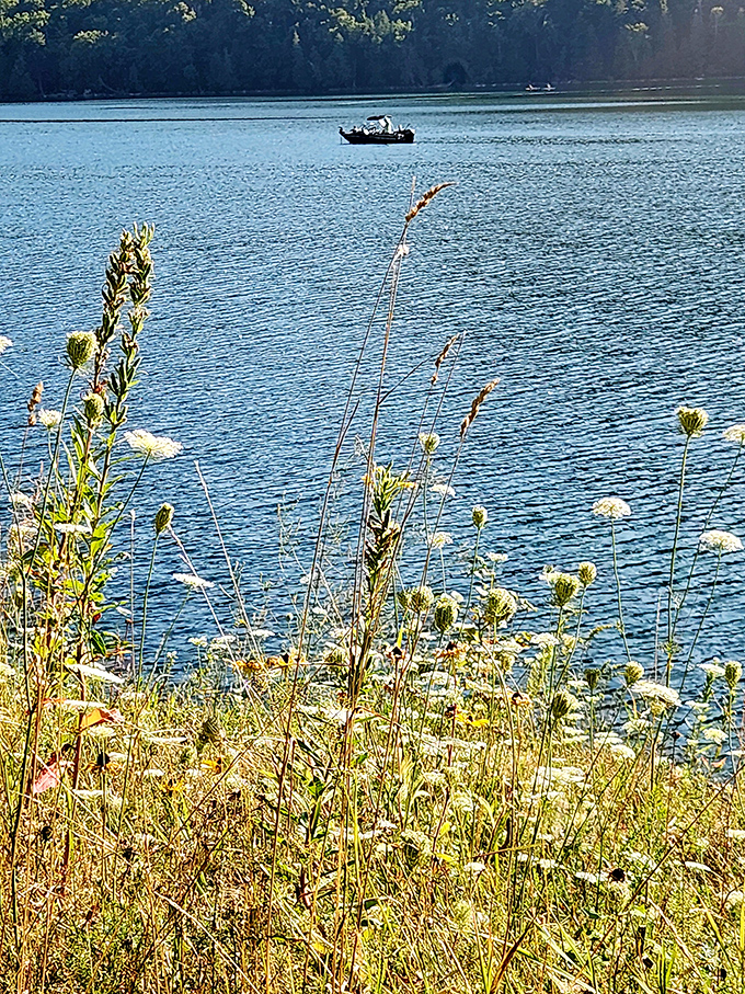Wildflowers frame the perfect lake view, proving that Mother Nature understands good composition better than any photographer.