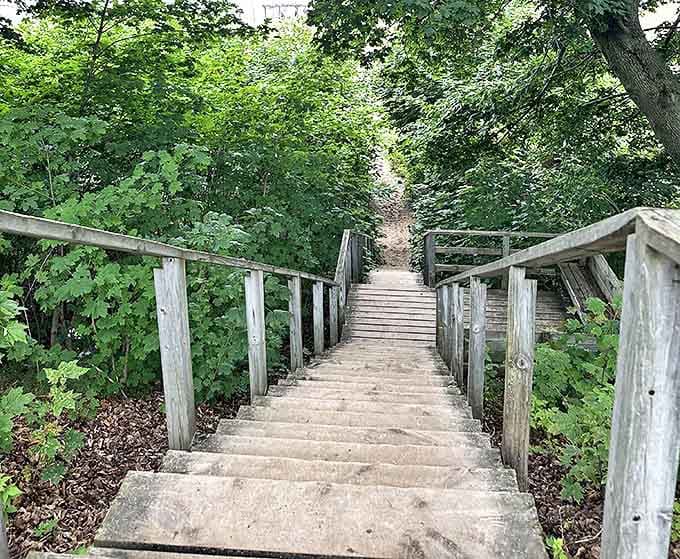 Stairway to heaven: These 302 wooden steps at Mount Baldhead Park reward climbers with breathtaking views that make the burning calves worthwhile.