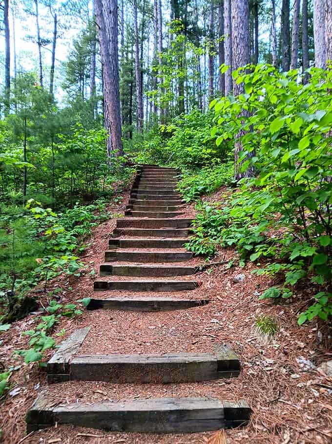 These stairs lead you deeper into the forest like a stairway to heaven, except it's more like a stairway to really good cardio and excellent views.