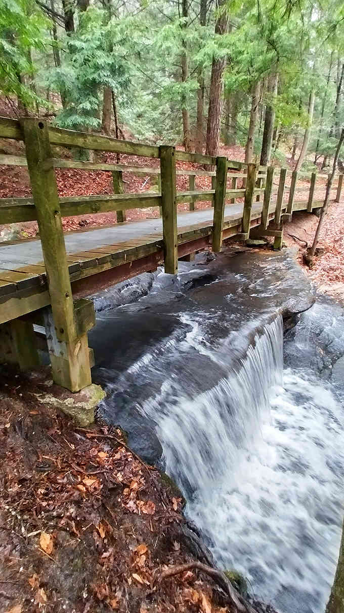 Water cascades beneath a sturdy footbridge, creating nature's own white noise machine. The perfect soundtrack for forest meditation.