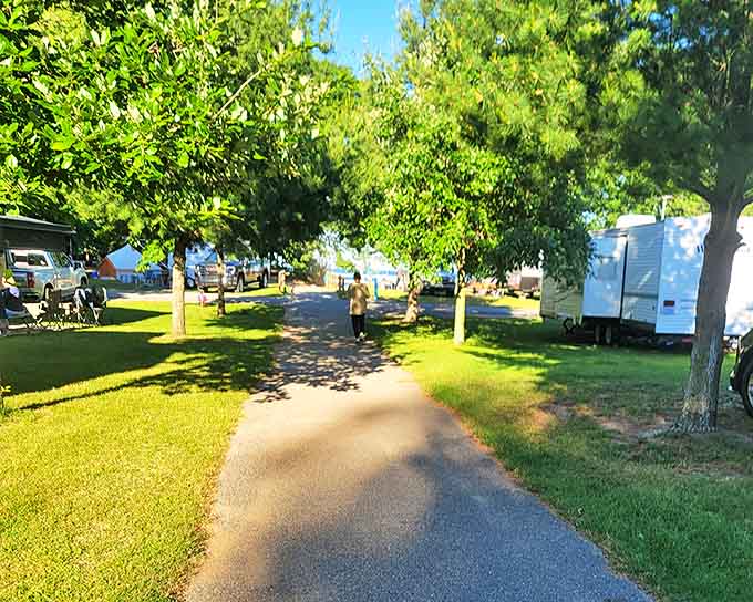 Campers have created their own neighborhood along this shaded pathway, where RVs and tents form a temporary community of outdoor enthusiasts.