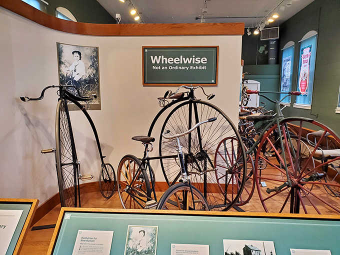 Penny-farthing bicycles stand tall in the "Wheelwise" exhibit, their comically large front wheels demonstrating that transportation innovation sometimes takes awkward turns.