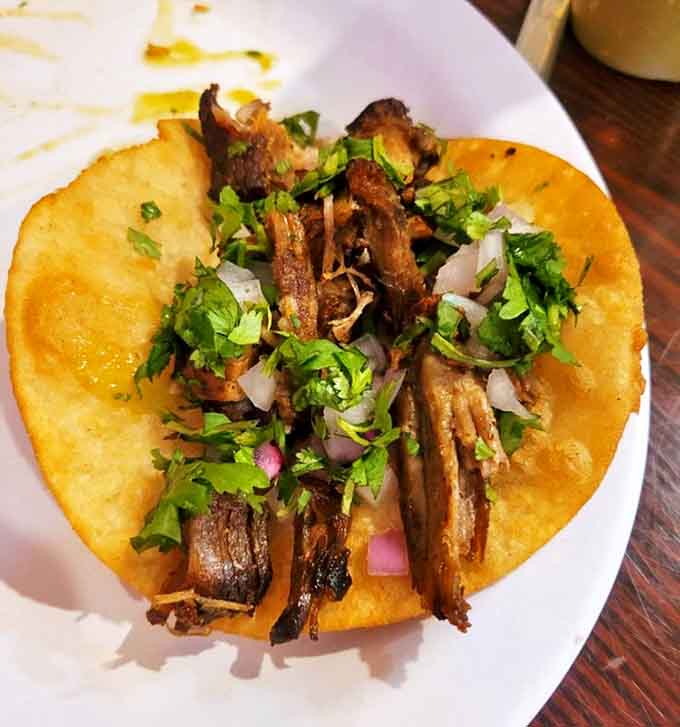 Carnitas nestled in a fried corn tortilla, topped with fresh cilantro and onions, ready to make your day infinitely better.