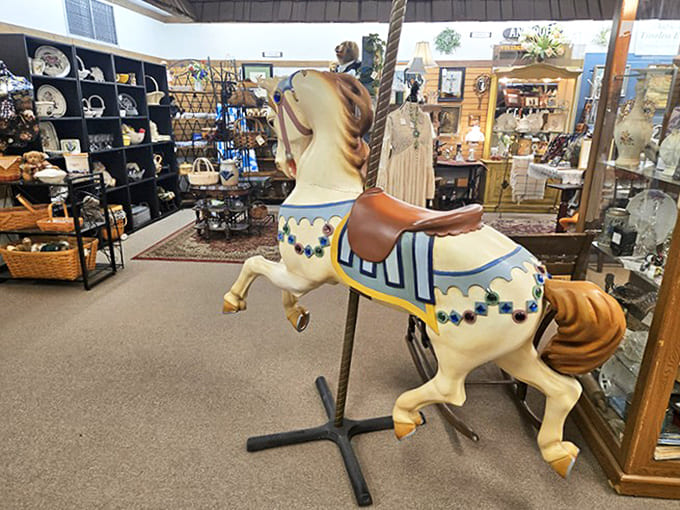 This carousel horse, frozen mid-gallop for decades, carries memories of county fairs, childhood joy, and simpler entertainments before screens captured our collective attention.
