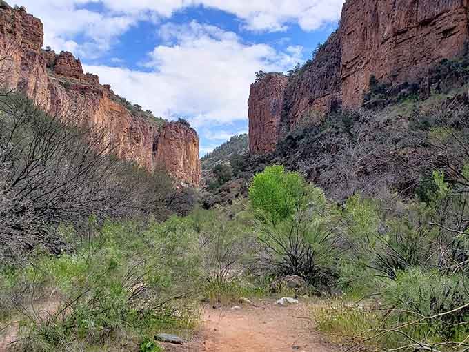 Cibecue Canyon demonstrating that Arizona has more tricks up its sleeve than just cacti and roadrunners.