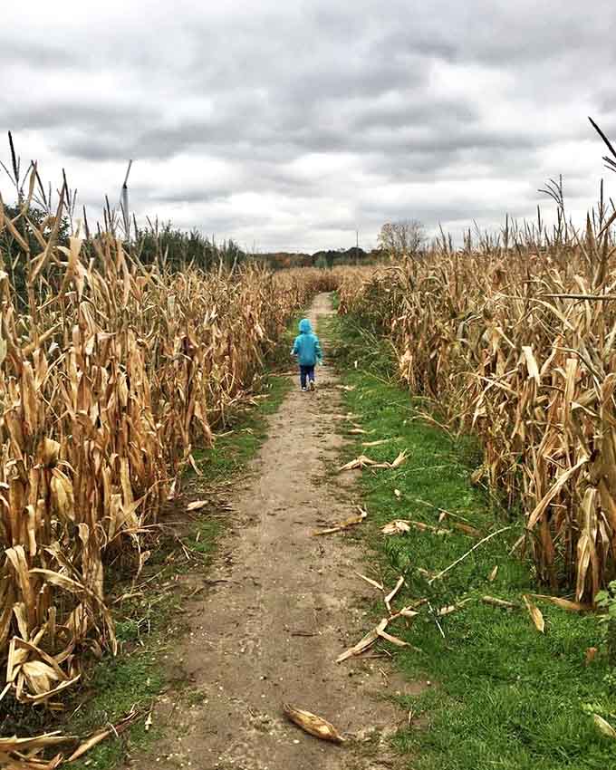 Tiny explorers discover big adventures as they navigate the twisting paths of Robinette's famous corn labyrinth.