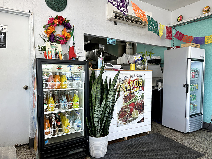 Where culinary dreams come true &ndash; a humble ordering station fronted by snake plants and adorned with vibrant food photography.