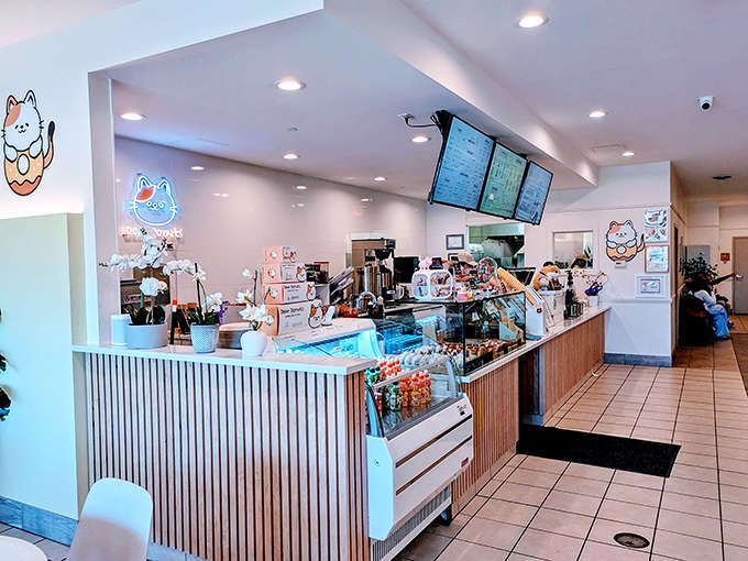 The counter where magic happens and decisions are made, mostly decisions about how many donuts is too many donuts (spoiler: no such thing).