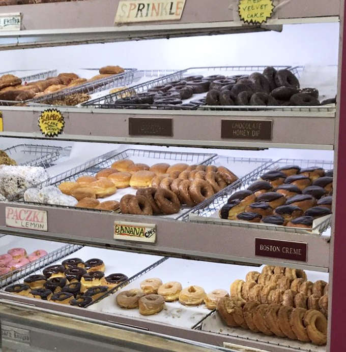 The display case at Elias is like a museum of donut artistry, showcasing varieties from Boston Cream to Banana Cake.