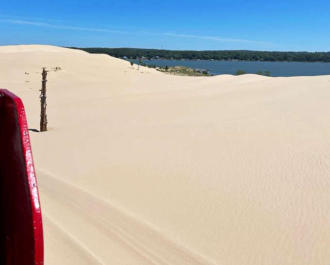 From this sandy summit, the world below looks like a watercolor painting – half blue lake, half golden dune, all Michigan magic.