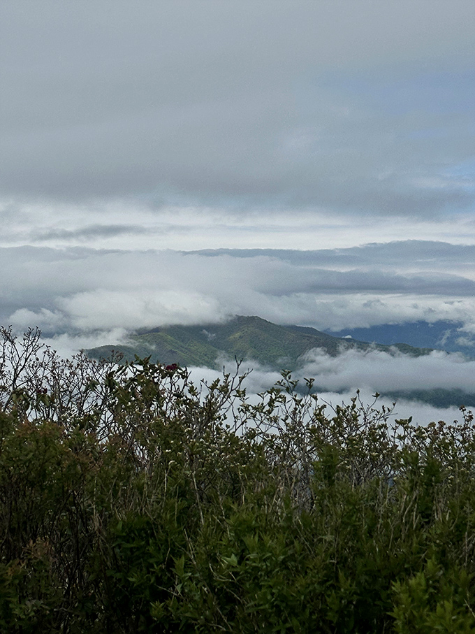 Morning fog dances between mountain valleys, creating an ethereal landscape that makes early risers feel like they've discovered magic.