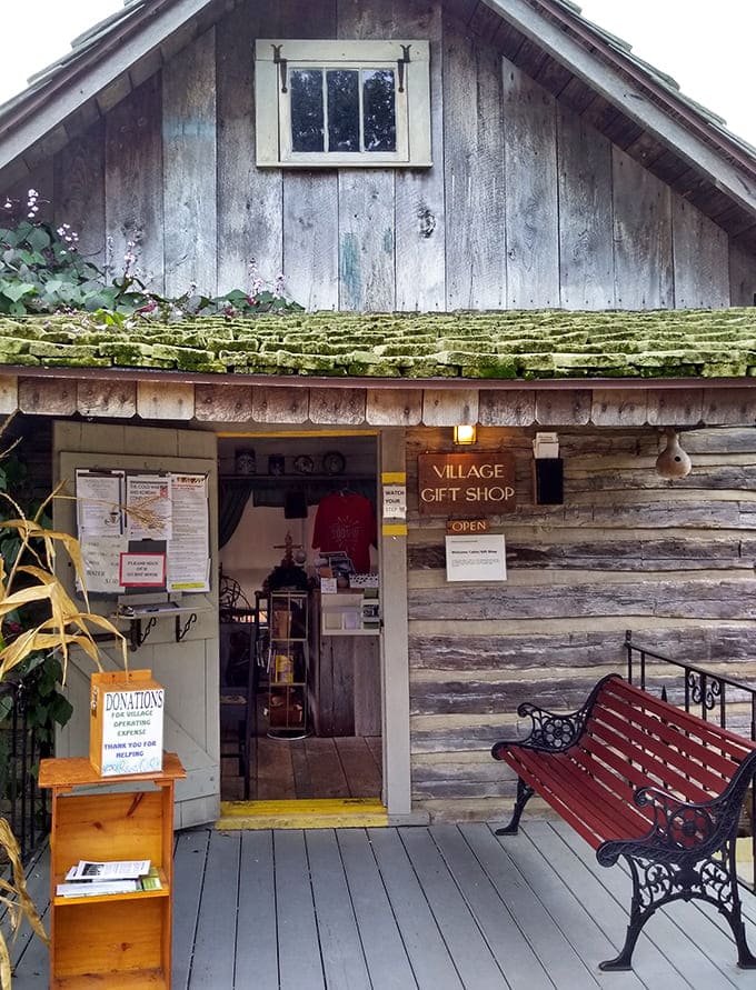 The village gift shop offers authentic souvenirs and handcrafted items, perfect for people who appreciate quality over whatever's trending on TikTok this week.