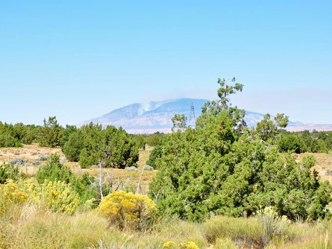 The breathtaking landscape with a picturesque mountain background tells the story of ancient dunes frozen in time.