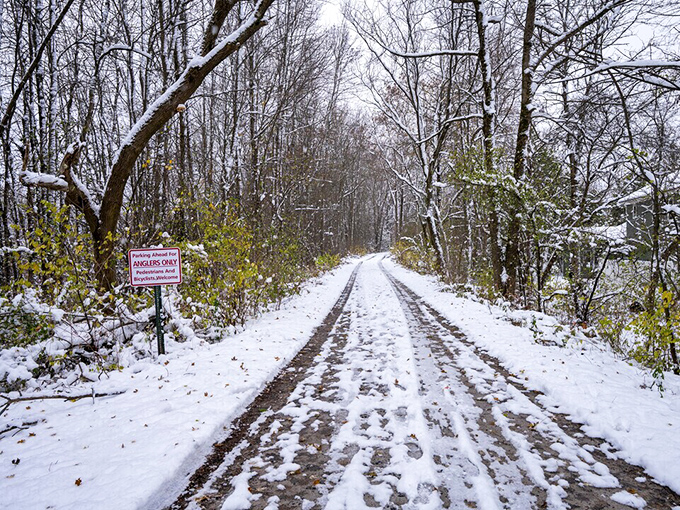 Winter blankets Grand Isle's woodland trails in pristine snow, creating peaceful pathways through silent, frosted forests.