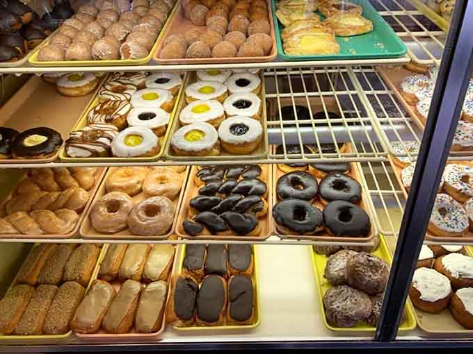 Rows of golden temptation behind glass, organized like edible art in a museum where touching and tasting are absolutely encouraged.