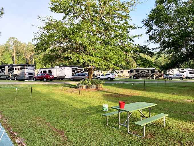 Lake City RV Resort offers oak-shaded serenity for road warriors. Home-away-from-home with hookups and hospitality &ndash; proving the journey can be as pleasant as the destination.