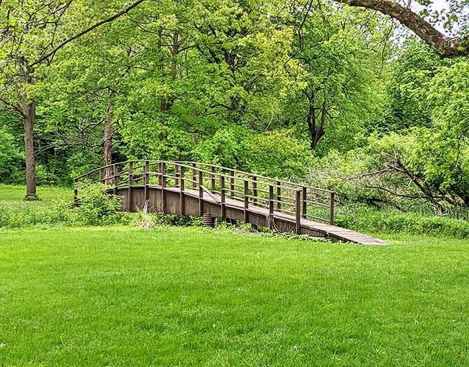 Wooden footbridges cross waterways with rustic charm, making every walk feel slightly more adventurous than it actually is.