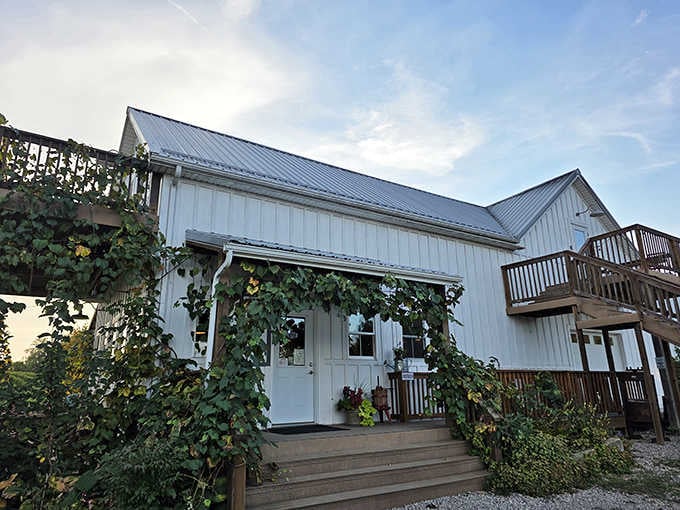 White clapboard and climbing vines create a fa&ccedil;ade that whispers "welcome" &ndash; no pretension, just genuine hospitality waiting inside.