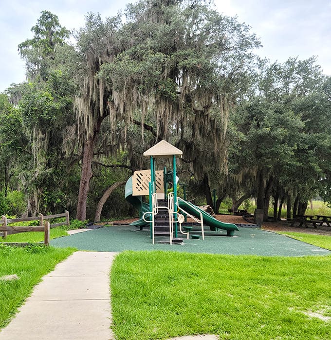 Playground paradise where kids can be kids and parents can pretend they're "supervising" while actually enjoying the shade.
