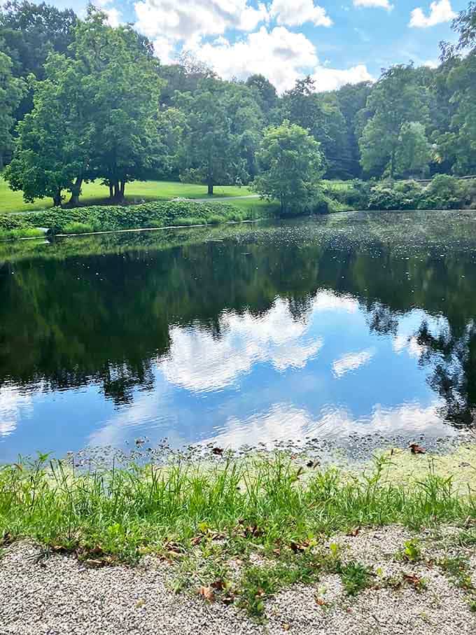 The serene pond reflects clouds and trees like nature's own mirror&mdash;a perfect spot for contemplation.