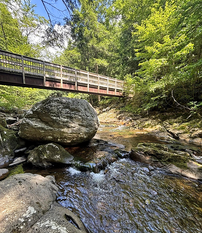 Engineering meets nature: this sturdy bridge connects not just two banks, but visitors to experiences they'll remember forever.