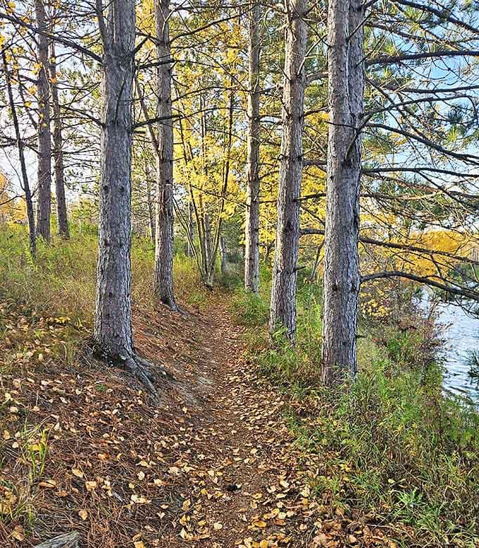 Follow this narrow forest path to discover solitude and serenity along shores that seem transported from a Mediterranean daydream.