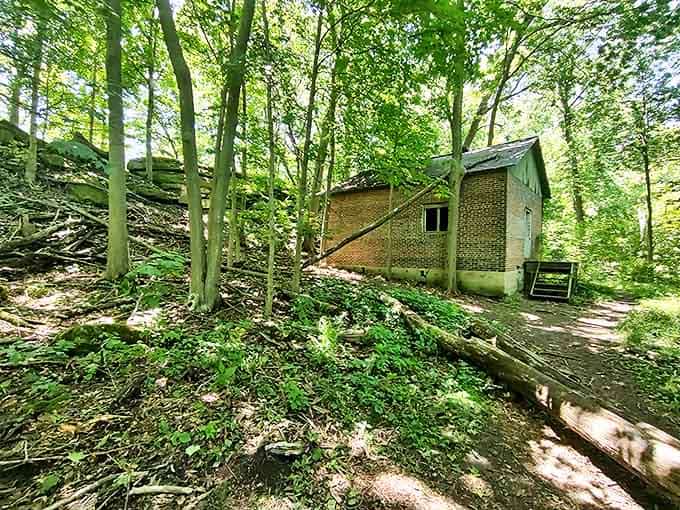 Storybook discovery: This brick cottage emerges from the forest like something from a fairy tale, its windows watching silently.