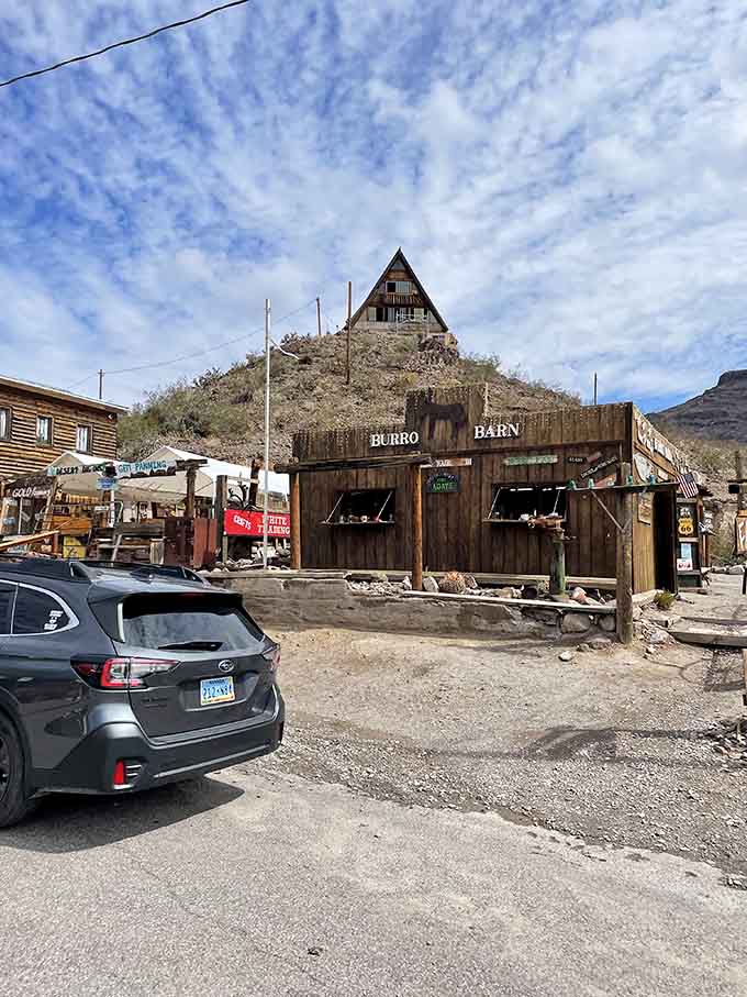 The Burro Barn celebrates Oatman's most famous residents, those four-legged characters who've turned begging for carrots into an art form.