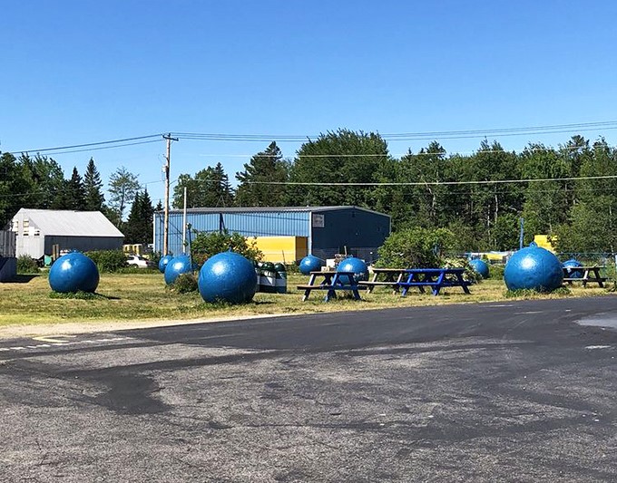 Giant blue spheres dot the landscape around Wild Blueberry Land, creating a playful atmosphere that makes adults feel like kids again.