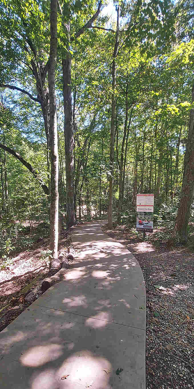 Dappled sunlight guides visitors along this serene woodland trail, inviting exploration at a pace dictated by curiosity rather than schedules.