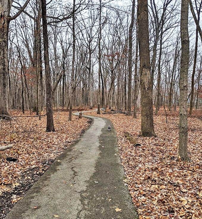 A paved trail that proves accessibility and natural beauty aren't mutually exclusive &ndash; Mother Nature welcomes everyone.