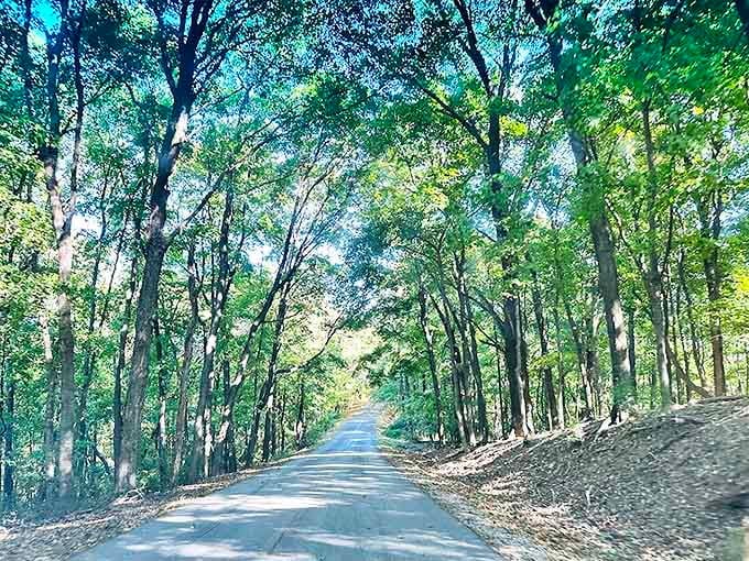 This isn't just a path &ndash; it's a portal through time, where each step takes you deeper into the heart of Midwestern wilderness.