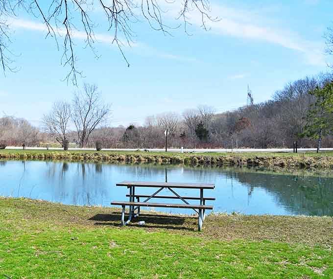 Picnic tables positioned by the water provide front-row seats to nature's show, no tickets required.