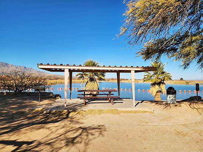 Shaded picnic areas by the water's edge, because sandwiches always taste better with a view that doesn't include office cubicles.