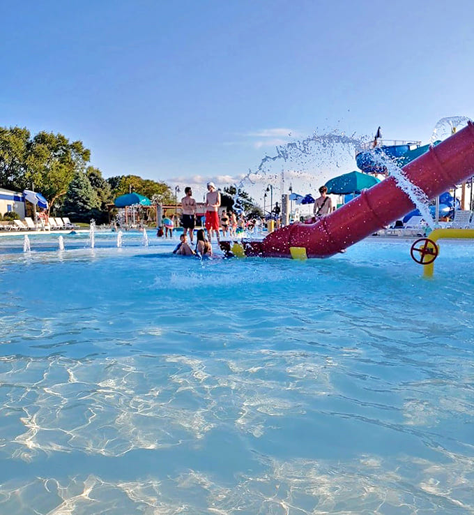 The shallow leisure pool offers perfect territory for water-curious toddlers and conversation-seeking adults to find their comfort zones.