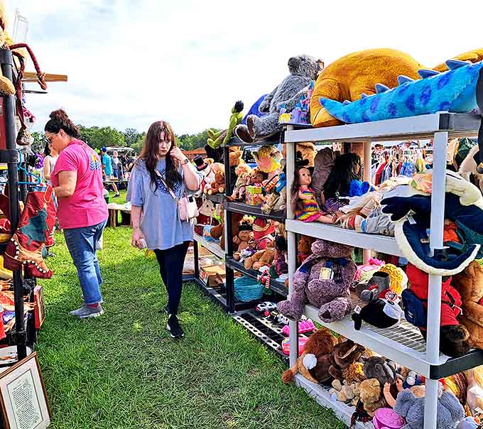 Stuffed animals waiting for their forever homes, a plush menagerie where childhood companions find second chances at being loved.