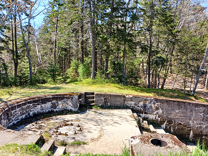 This sunlit forest path leads to unexpected historical treasures, where World War-era fortifications wait silently among Maine's coastal woodlands.