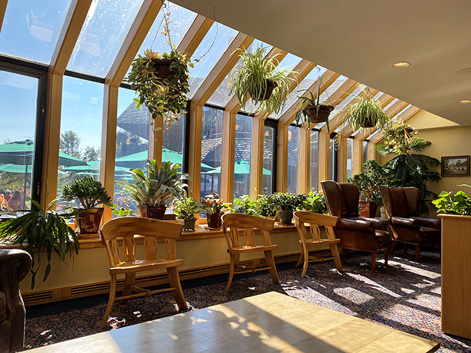 Sunlight streams through windows in the plant-filled sunroom, creating the perfect spot for morning coffee or afternoon contemplation.