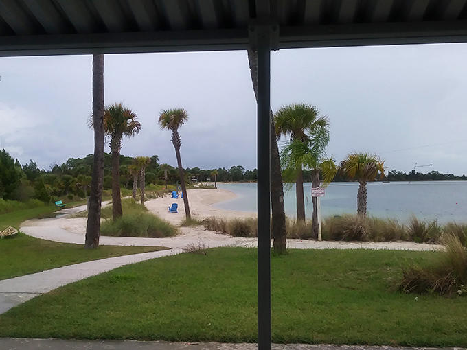 Palm trees, white sand, and clear water &ndash; Mother Nature's perfect backdrop for the human comedy show that's about to unfold.