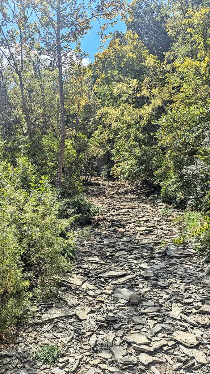 A path of flat stones creates nature's version of a yellow brick road, though this one leads to waterfalls instead of emerald cities.